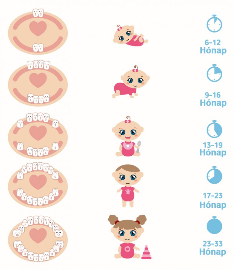 Készülődnek a tejfogak – hogy segítsünk a babának? – Coloré