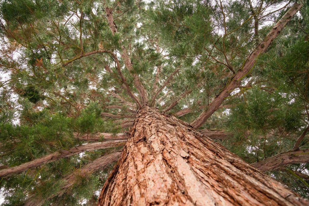 Hétvégi kirándulás Budapest környékén? Mutatunk 5 helyszínt! – Coloré