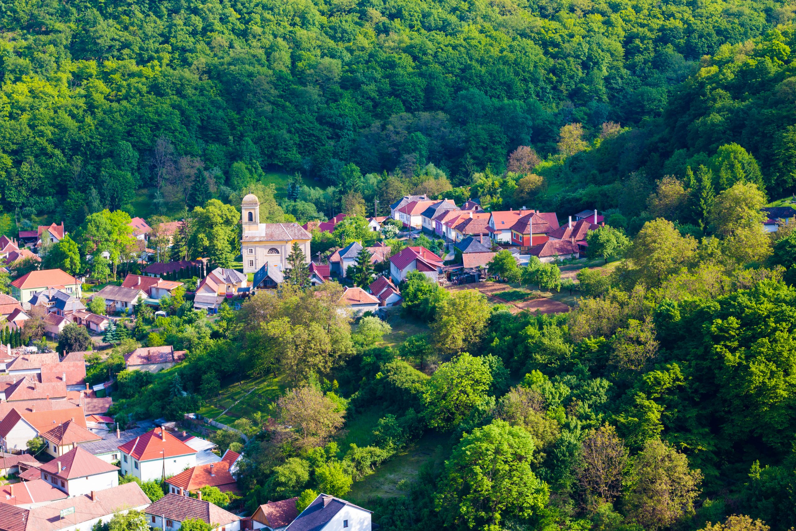 Kóstoltál már eredeti, házi csipkelekvárt? Szarvaskőben holnap ...