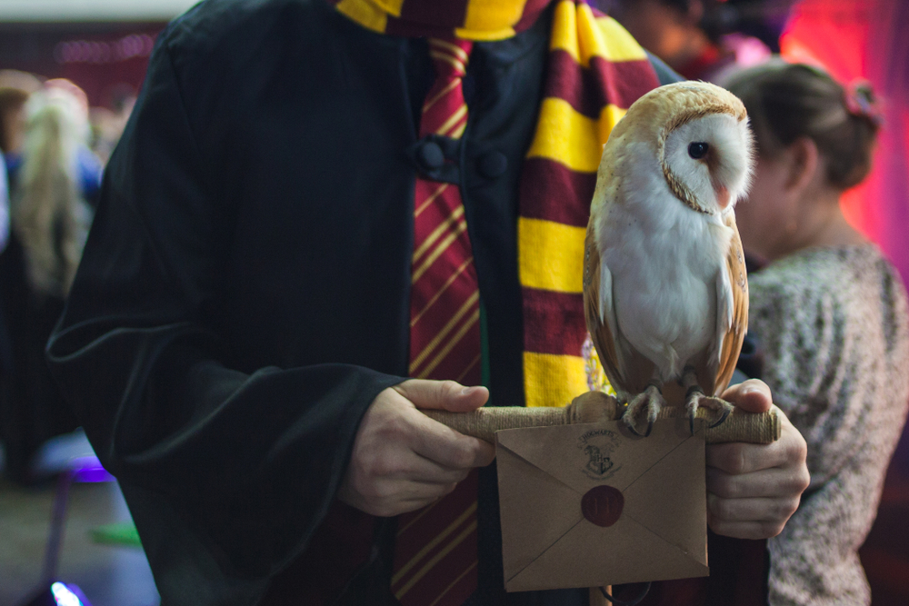 Roxfort-kvíz: mennyire ismered a Harry Potter univerzum legfontosabb ...